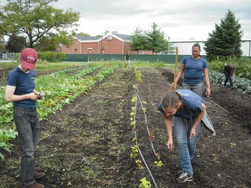 UncommonGoods Heads to the Farm – The Goods