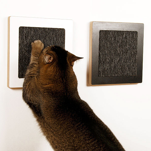 Scratch That! – The Goods