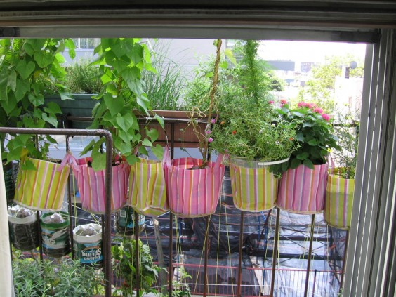 Urban Gardening & Fire Escape Flora – The Goods
