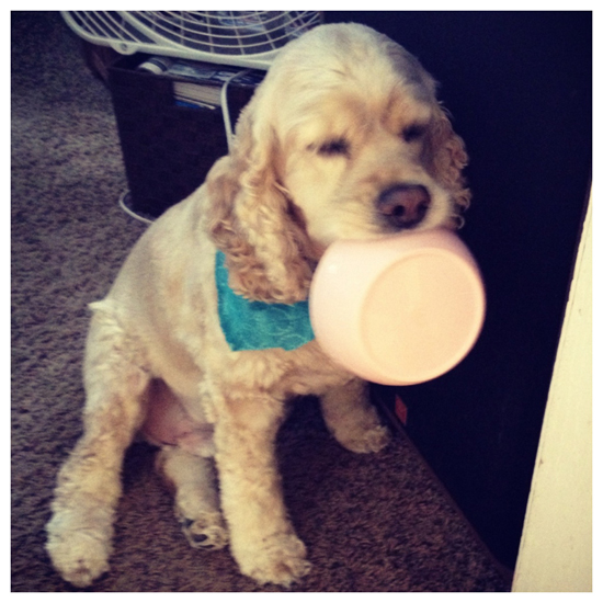 Sam eating – The Goods