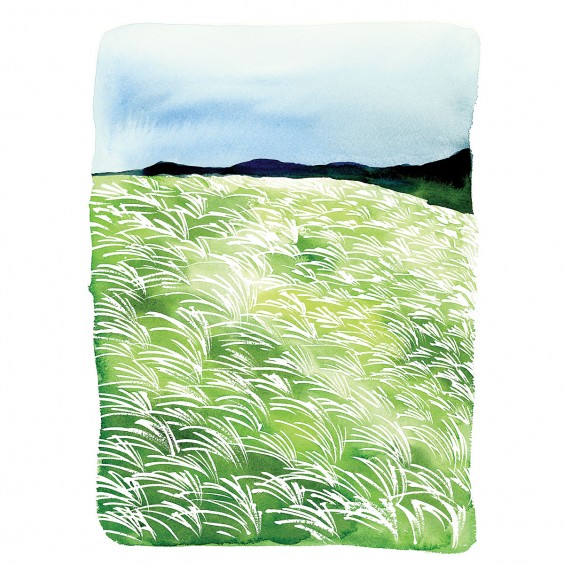 Yao Cheng's Watercolors go with the Intuitive Flow -The Goods