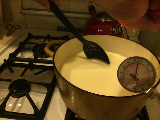Gift Lab: How to Make Tasty Homemade Cheese – The Goods