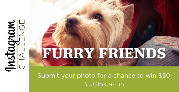 Instagram Challenge: FURRY FRIENDS -The Goods