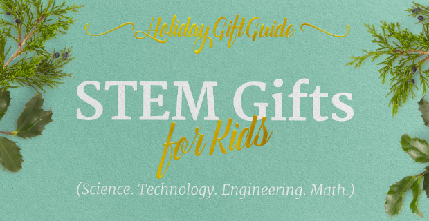 STEM Gifts for Kids (Science. Technology. Engineering. Math.) -The Goods