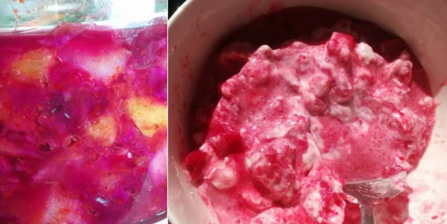 Gift Lab: First-Time Fermentation -The Goods