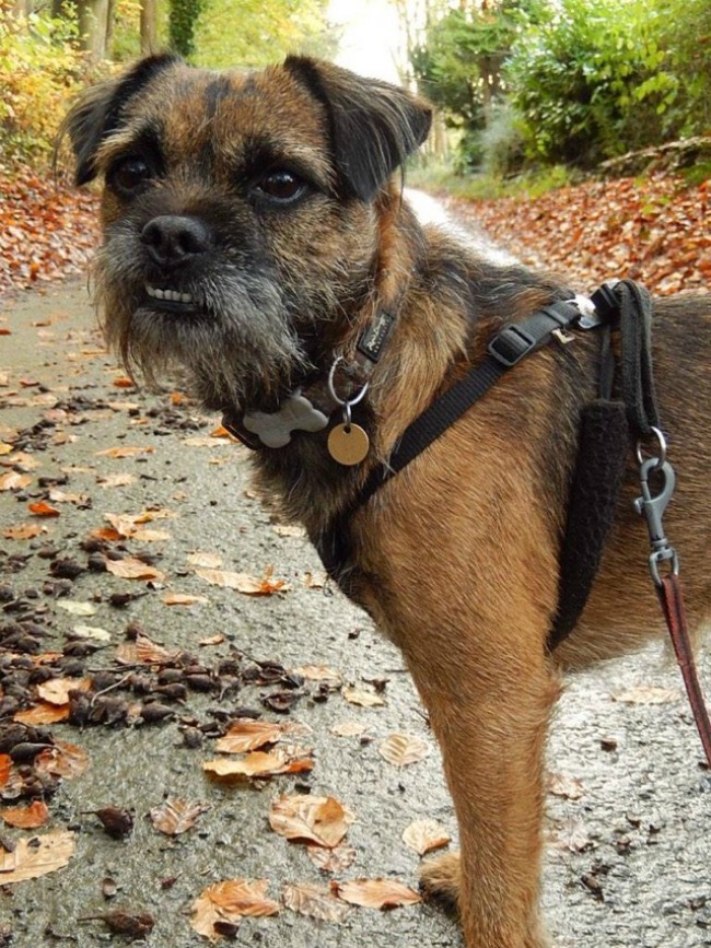 This Just In-spiration: Meet Matt Pugh – The Goods