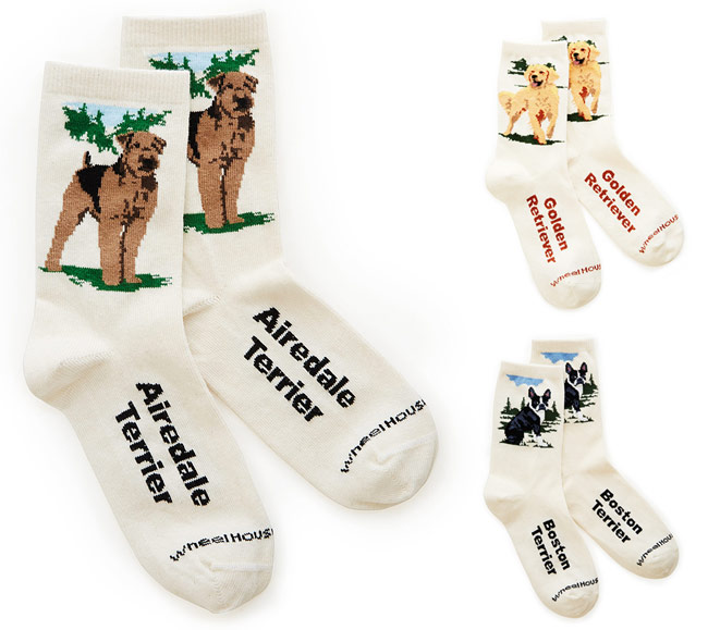 11 Unboring Pairs of Socks to Keep Your Toes Cool, Yet Toasty – The Goods