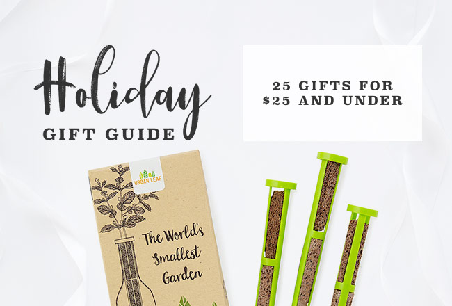 25 Gifts for $25 and Under -The Goods