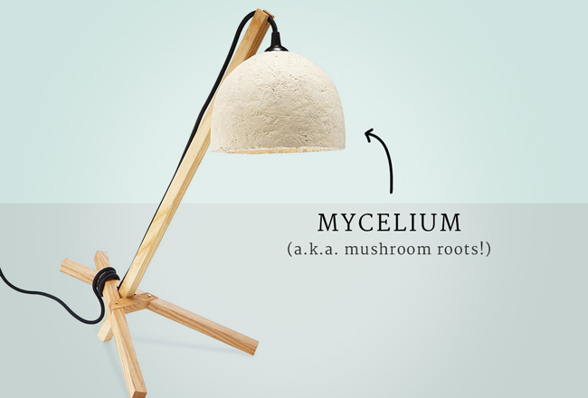 What's Mycelium Got to Do With It? Inside a Lamp Made from Mushrooms ...
