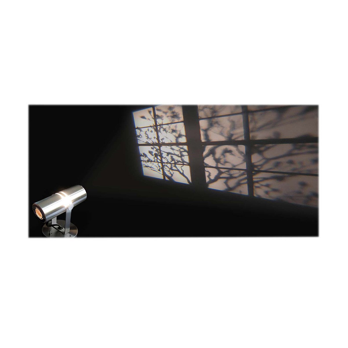 Reveal Shadow Projector | Adam Frank Shadow Projector, Windom, Trees ...