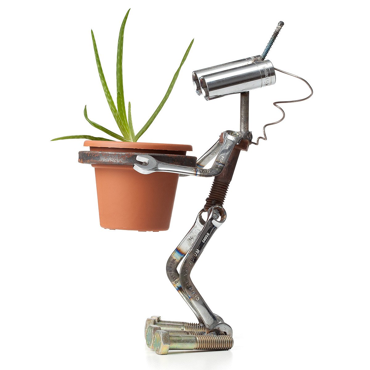 Robot Plant Pot For Sale at Annabelle Raggatt blog
