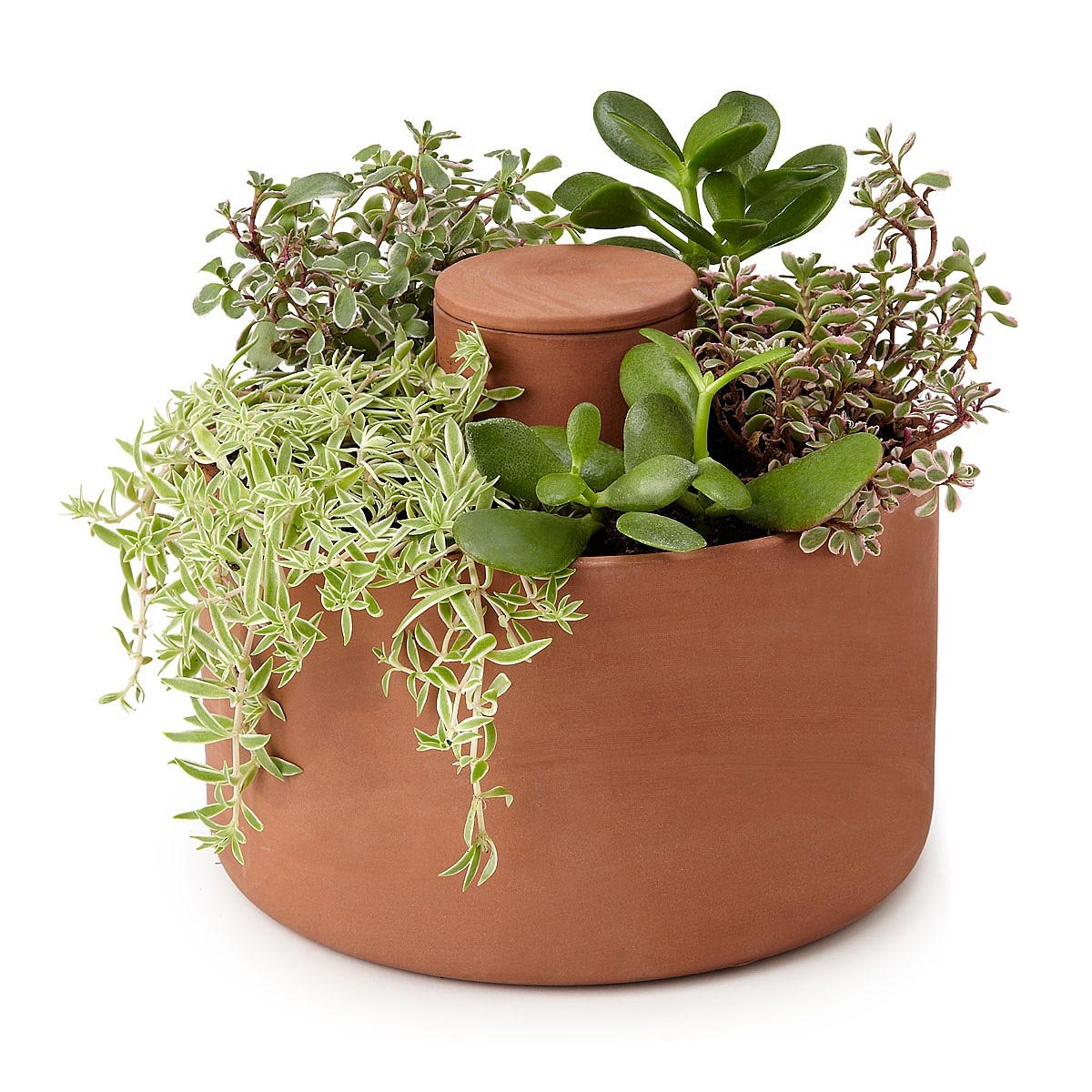 Self Watering Planter | easy garden, low maintenance | UncommonGoods