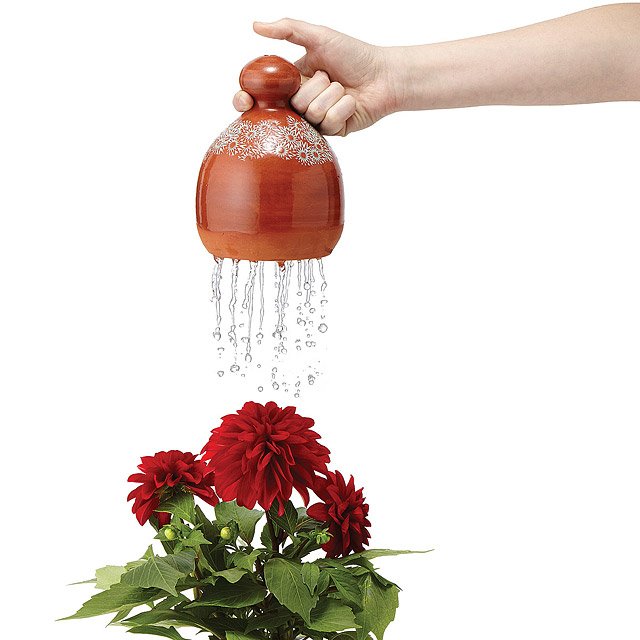 Butterfly Puddler | Attract Butterflies, Garden | UncommonGoods