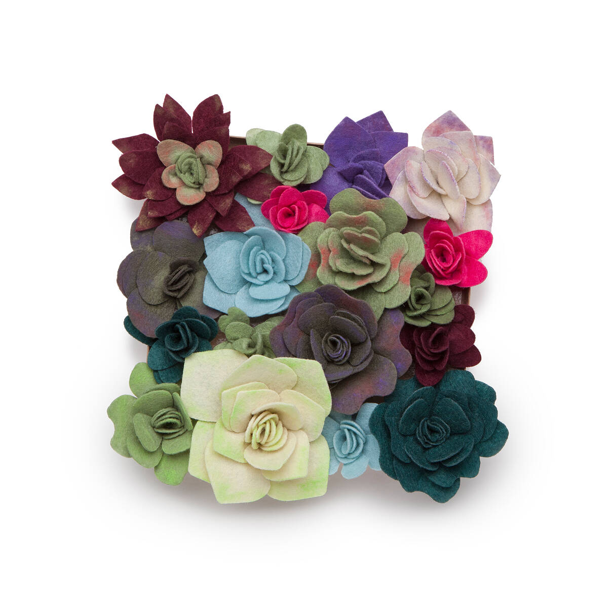 Felt Succulents Kit | DIY Plant Craft Kit | UncommonGoods