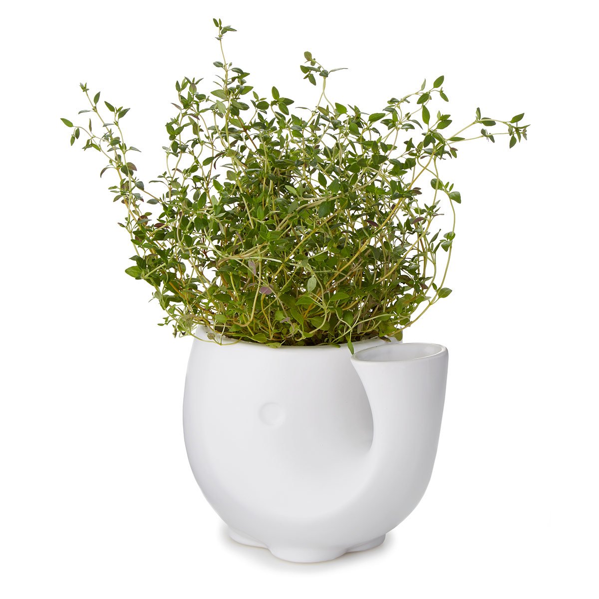 Self-Watering Eleplanter | Growing Herbs, Indoor Garden | UncommonGoods