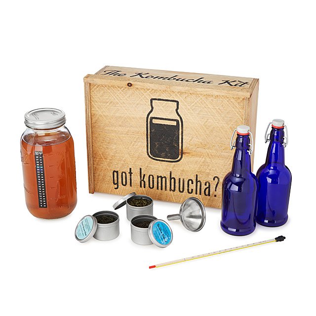 Brew Your Own Kombucha Kit | Make Fermented Tea | DIY Kombucha ...